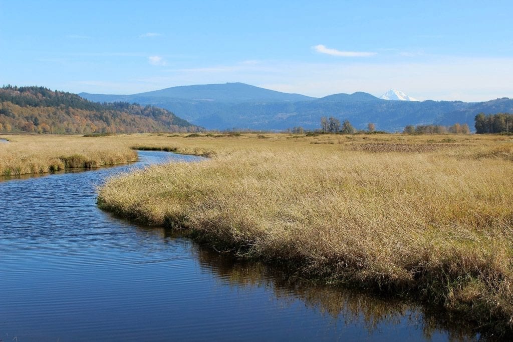 steigerwald-lake-national-wildlife-refuge-beginning-of-trail-jpg ...
