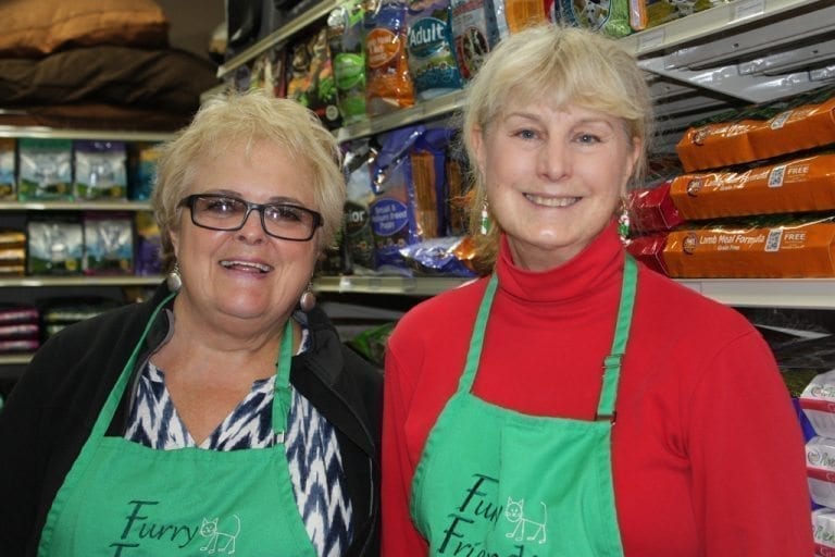 Furry Friends to hold Cat Adoption and Book Signing event ...