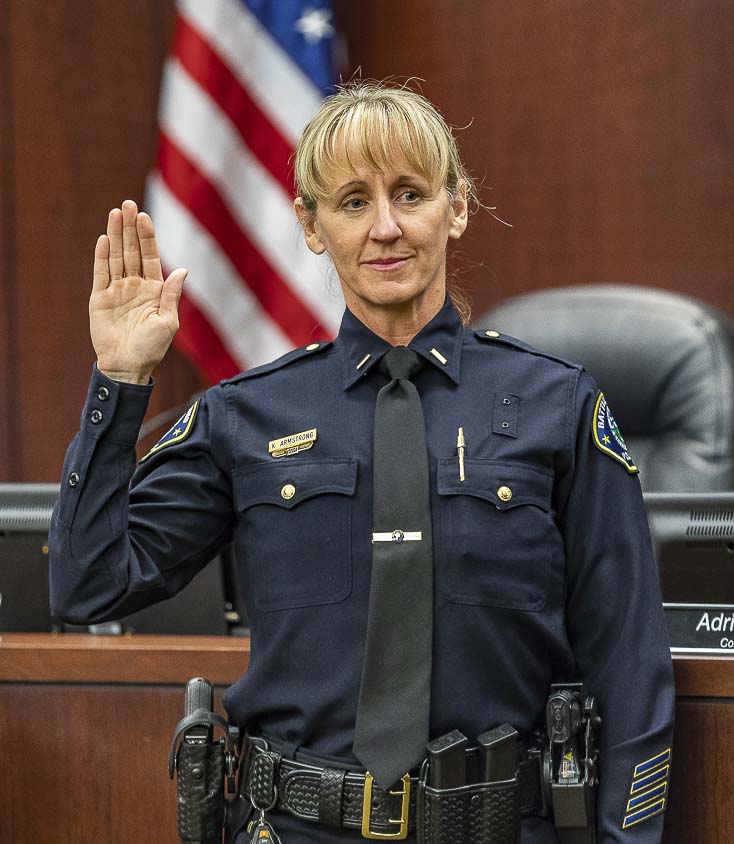 Police Lieutenant Stripes