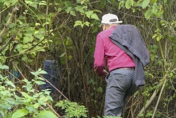 A walk in the woods: One neighbor’s quest to clean up Arnold Park ...