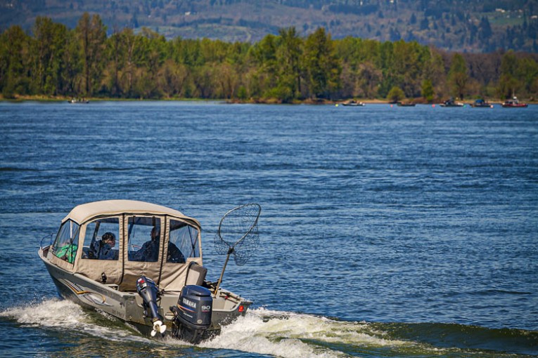 Columbia River to reopen for spring Chinook fishing below Bonneville ...