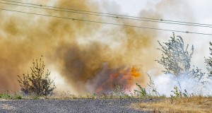 WDFW lifts fire restrictions - ClarkCountyToday.com