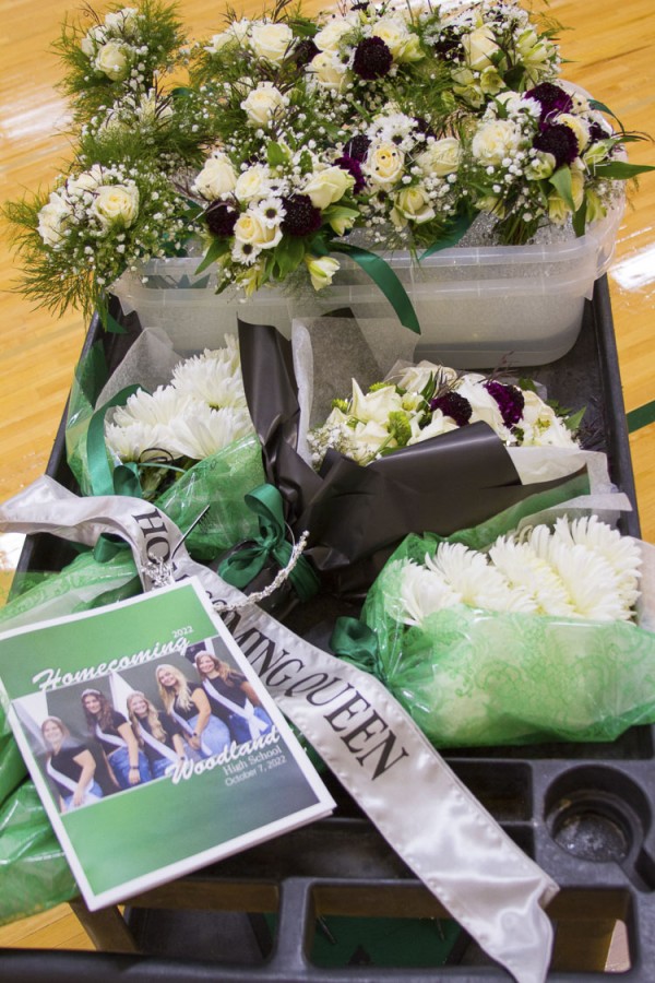 Woodland High School’s Home Sweet Homecoming draws crowds from far and ...