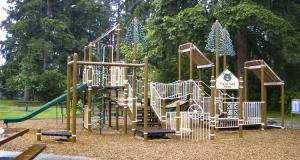 Hazardous trees to be removed at Foley and Tiger Tree neighborhood ...