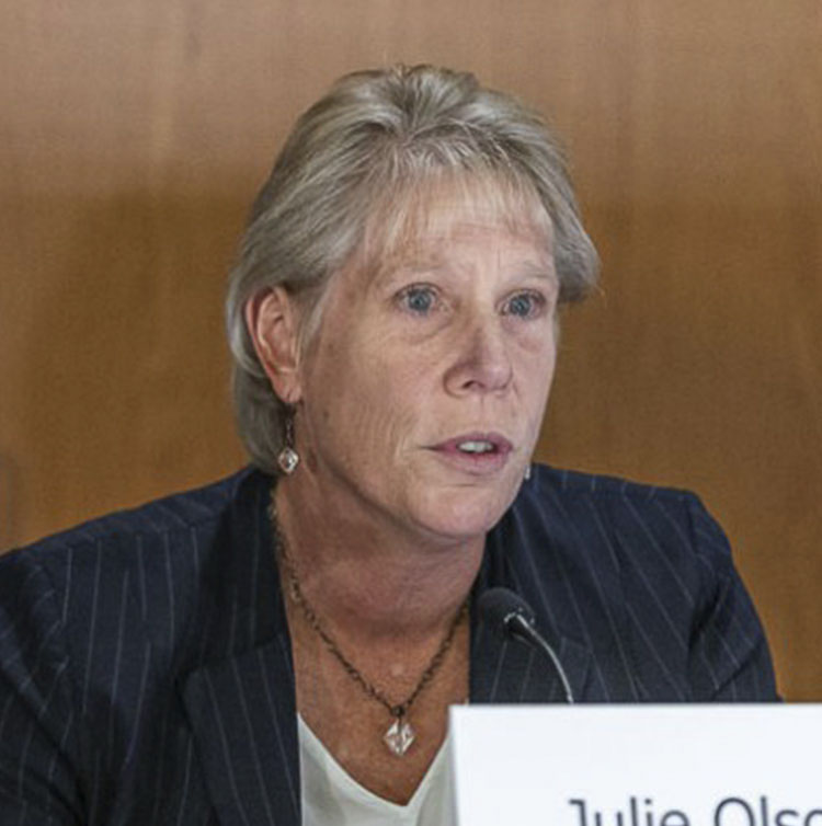 Members of County Council vote to raise property taxes ...