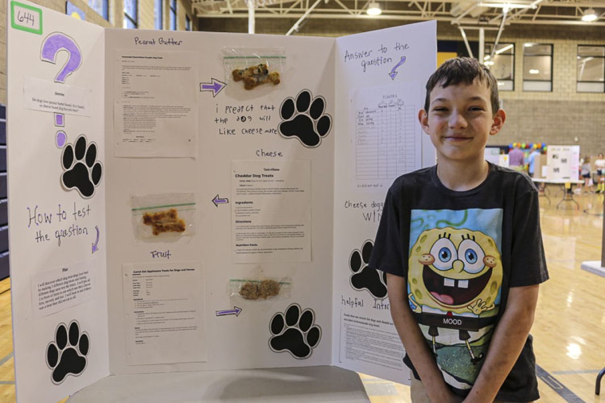 Science Fair at Jemtegaard Middle School inspires budding scientists ...