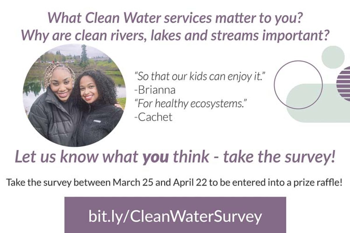 Clark County seeks community input about protecting, restoring water ...