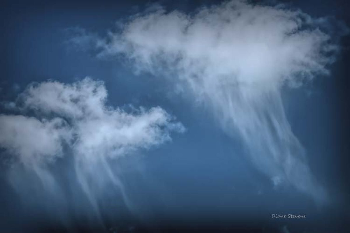 Weather: Jellyfish in the sky pop up as clouds over Clark County ...