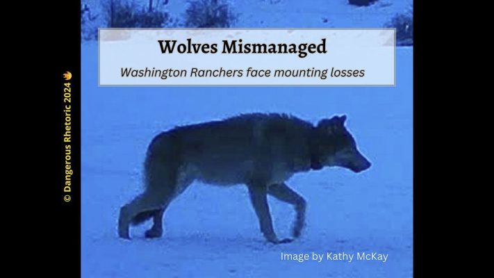 Opinion: Wolves mismanaged - ClarkCountyToday.com