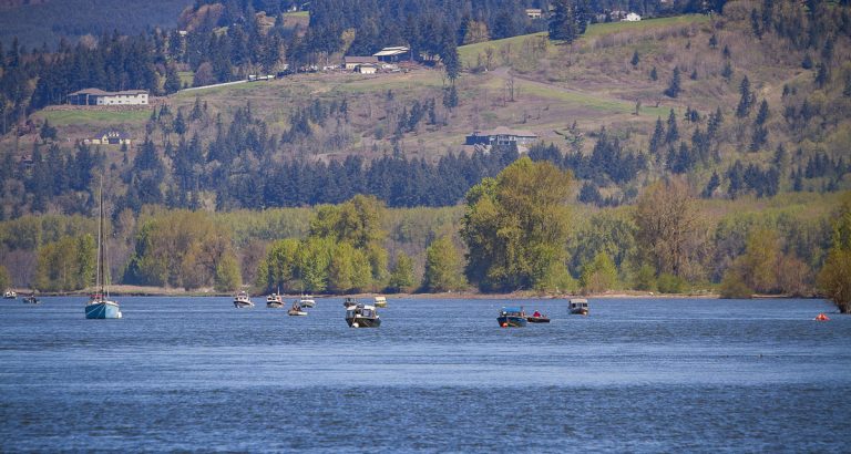 2025 Columbia River Spring Chinook seasons announced – ClarkCountyToday.com