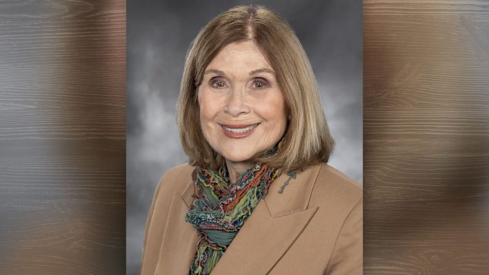 State Rep. Sharon Wylie announces candidacy for Clark County auditor ...